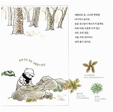 알라딘 미리보기 겨울 숲 친구들을 만나요