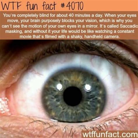 40 Interesting Wtf Fun Facts That You Probably Didnt Know Amazing