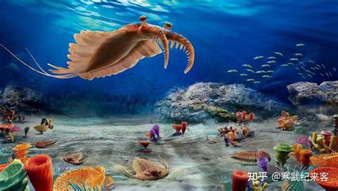 达尔文进化论出错了吗？在五亿年前，为什么发生寒武纪生命大爆发 知乎