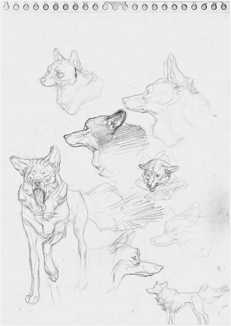 Adorable Dog Sketches