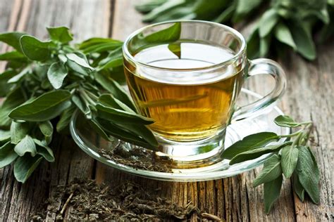 21 Plantas Medicinales Para El Dolor De Estómago Mejor Con Salud