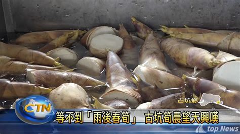 等不到「雨後春筍」 古坑筍農望天興嘆 鑫傳國際多媒體科技股份有限公司 Tdn台灣生活新聞