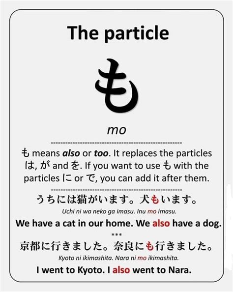 usage of particles in japanese language