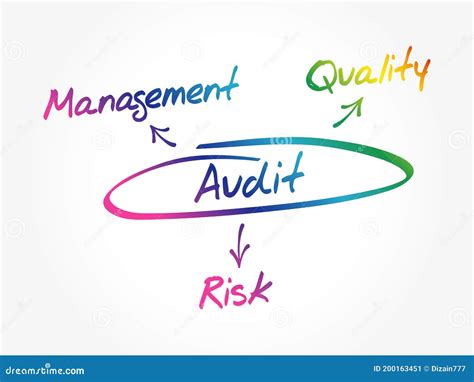Audit Concept Diagram Business Concept Stock Illustration