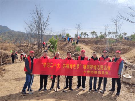 学习二十大 共植绿色梦｜屏南青年开展植树护绿志愿活动生态文明青春