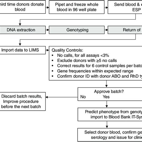 Workflow For Genotyping Before Issuing Of Blood Components Schematic