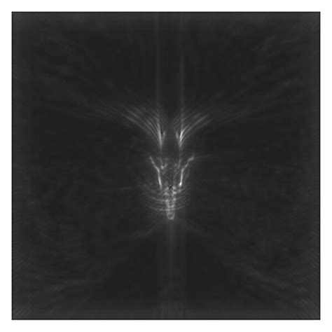 Reflective Tomography Lidar Image The Sampling Interval Is A 1 Download Scientific Diagram