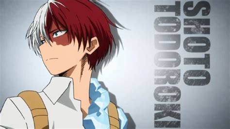 Write A Letter To Shoto Todoroki Quiz