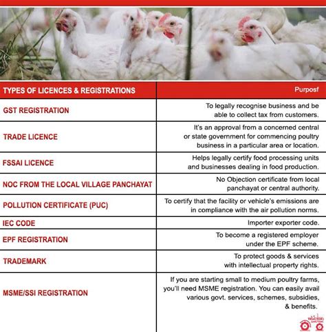 How To Do Poultry Farming Business Cost And Profit Explained