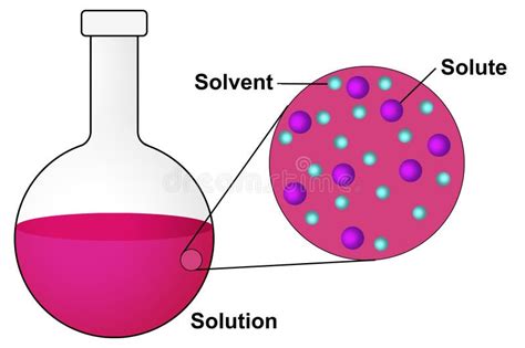 Solutions Solubility Homogeneous Mixture Stock Illustration Illustration Of Education