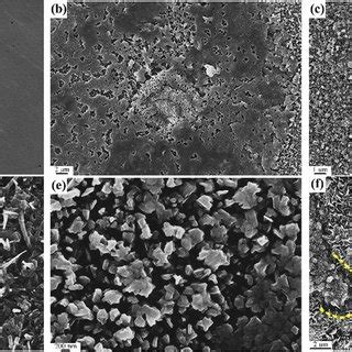 SEM Surface Morphology Of The Samples After Oxidation At 600 C For A