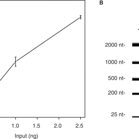 Overview Of The Double T7 Rna Polymerase Based Linear Amplification Download Scientific Diagram