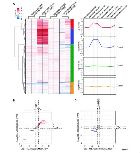 Dynamics Of Rbp Rna Interactions In Dependence Of Prmt Download Scientific Diagram