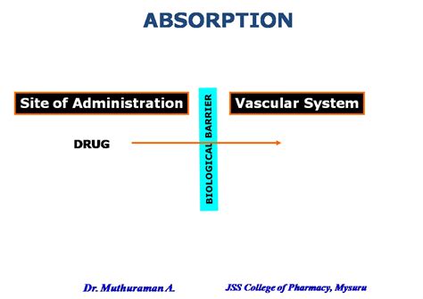 21 Pharmacokinetics Drug Absorption And Distribution Ppt