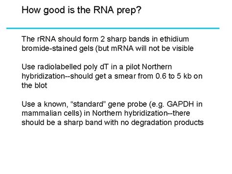 DNA And RNA Isolation And Purification Course Readings