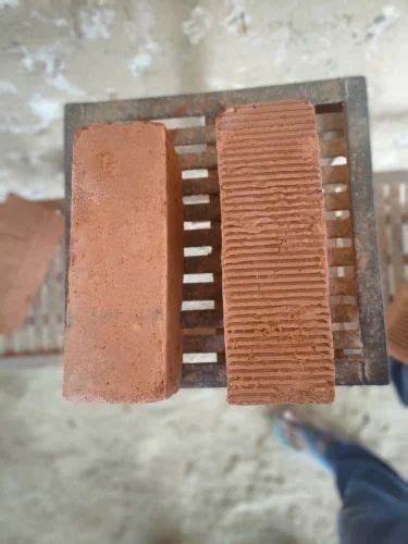 Wire Cut Bricks In X In X In At Piece In Malur ID