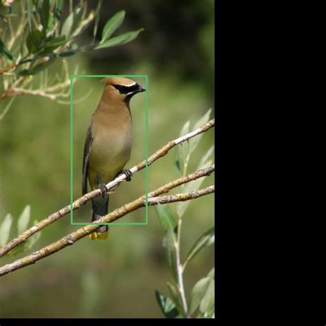 Tutorial Spec Error Message Type Regularizerconfig Has No Field