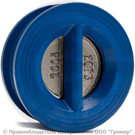 Клапан обратный двухстворчатый Ду 150 Ру 16 Tecofi ств чугун Cb3448n купить в Москве цены в Гремир