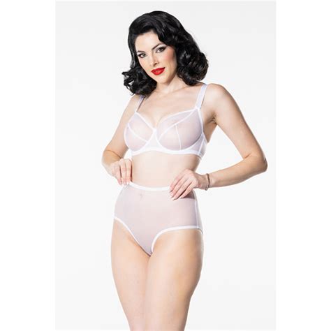 Sheer Seduction Hi Cut Panty