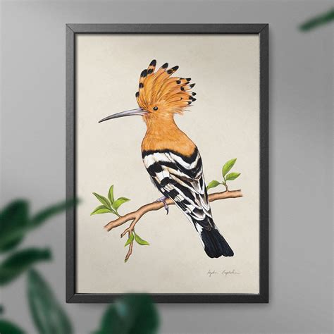 Plakat Dudek 21X30 Polskie Ptaki Zwierzęta Autorska Ilustracja