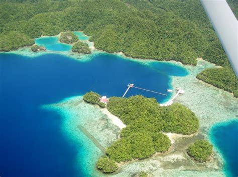 세부 경비행기 투어 세부막탄 보홀 초콜릿 힐 비행 Kkday