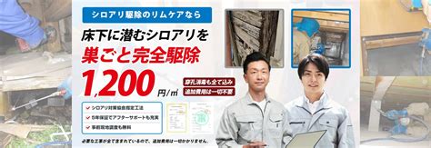 群馬県のシロアリ駆除業者リムケア｜相場の半額で駆除率9878％