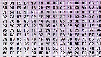 Computer Code In Hexadecimal On Screen Stock Footage Video Of Coding Hexadecimal 234885430