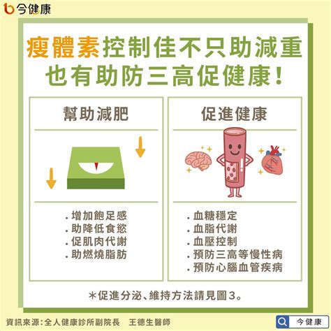 瘦體素控制佳助減重、防三高！ 醫指2關鍵：並非越多越好。 健康 Nownews今日新聞
