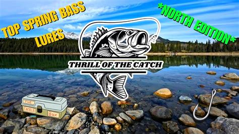 Top Spring Bass Lures For Minnesota Tips For Success Youtube