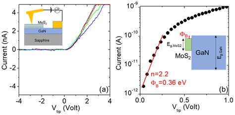 Large Area Mos2 Films Grown On Sapphire And Gan Substrates By Pulsed Laser Deposition