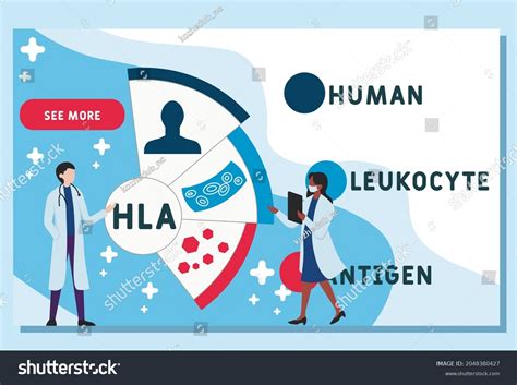 122 Mhc Complex 图片、库存照片和矢量图 Shutterstock