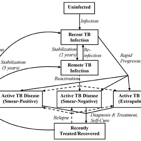 Transmission Model Of Tuberculosis In Karachi Pakistan Boxes Download Scientific Diagram