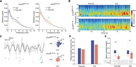Nature Neuroscience