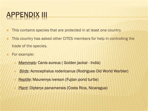 Ppt Cites Powerpoint Presentation Free Download Id2146694