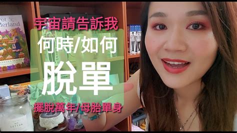 宇宙請幫幫我 我該如何and何時擺脫萬年單身 Sowilo 太陽塔羅x雷諾曼 Youtube