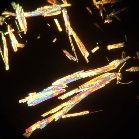Preparation Of Crystals For Observation