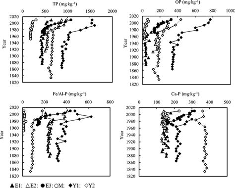 Fractions Of Phosphorus In Six Sediment Cores From E1 E2 E3 M Y1