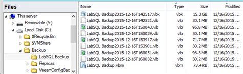 How To Backup A SQL Server Transaction Log Veeam