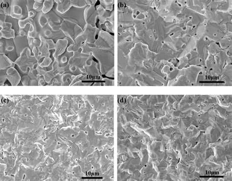 Sem Observations Of Fracture Surface Of Zn1 − Xsbxo Ceramics Ax 0