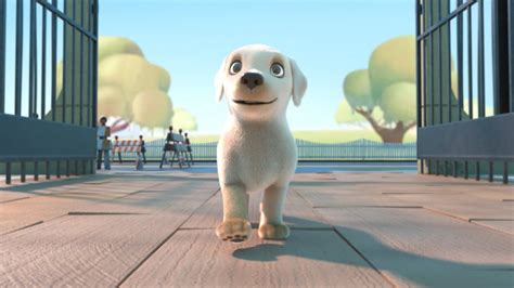 Pip A Heartwarming Short Film To Start Your Week Off Right Youth