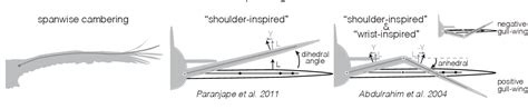Figure 2 From A Review Of Avian Inspired Morphing For UAV Flight
