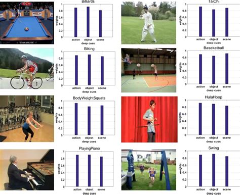 examples of the learned combination weights of multiple deep cues on