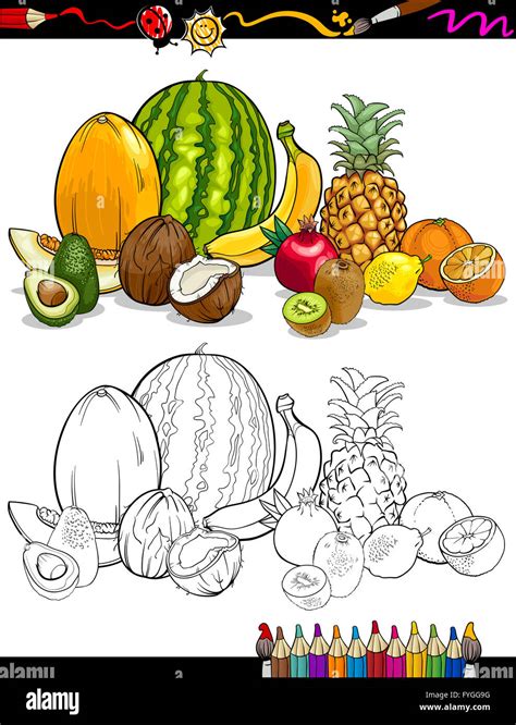 Kiwi Fruit Illustration Coloring Book Banque De Photographies Et D