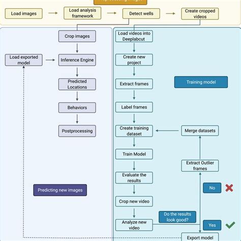 Flowchart For Automated Behavioral Analysis We Implement Traditional