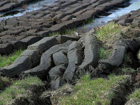 Free Picture Field Peat Cutting