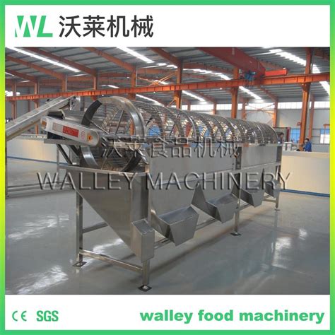 Seafood Rotary Drum Grader Grid Classifier For Lobster And Scallop