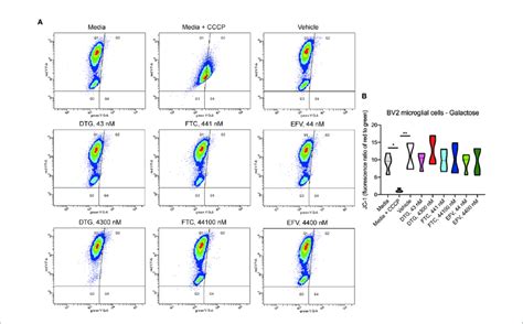 No Alteration In Bv2 Cell Mitochondrial Membrane Potential Due To Arv Download Scientific