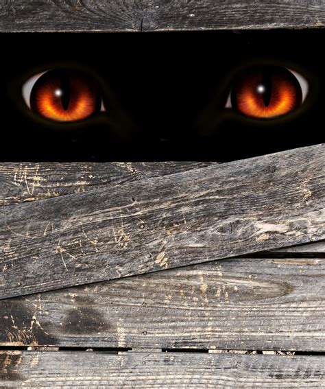Hiding In Plain Sight How A Cedants Reinsurance Recovery Risk Can