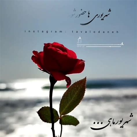 کلیپ تبریک تولد شهریور ماهی ها جدید