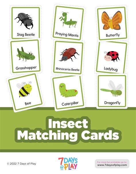 Insect Matching Cards Printable 7 Days Of Play